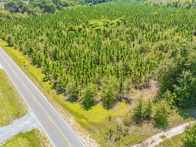 Tbd Blue Springs Road