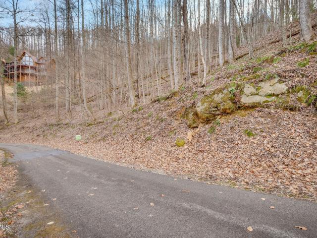 Tbd Bluestone Drive