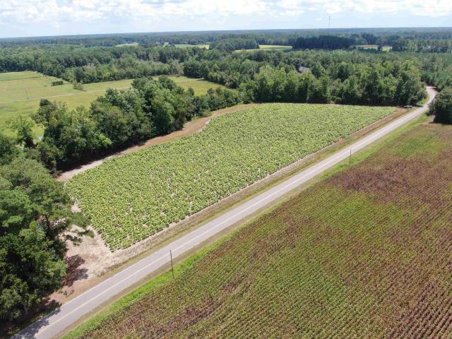 TBD Black Creek Rd