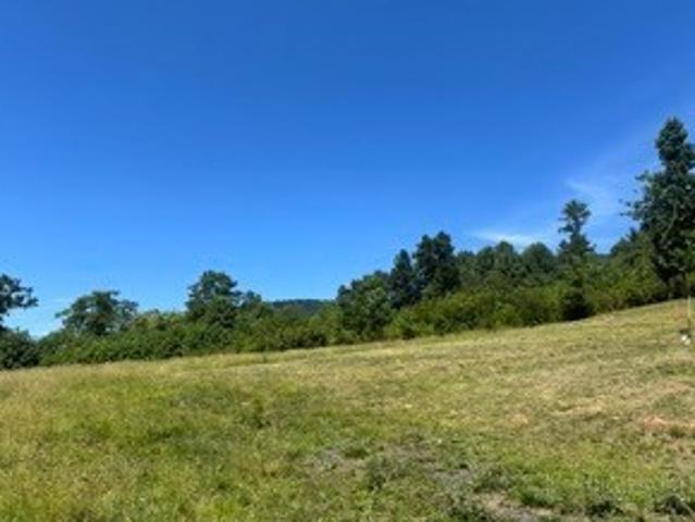 TBD Black Bear Acres Lane