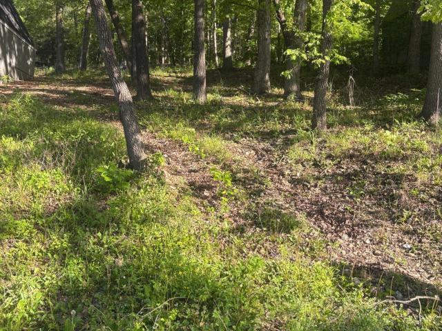 Tbd Black Oak Resort Lane