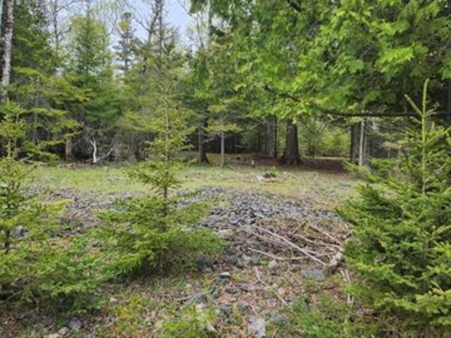Tbd Black Rock Point Rd Lot 13, Drummond Island, MI 49726