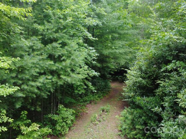 TBD Blowing Rock Road