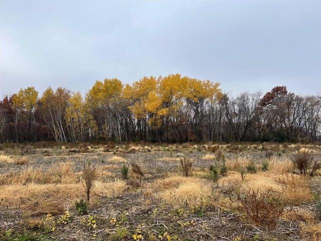 Tbd Brunswick Rd Lot 1, Stanchfield, MN 55080