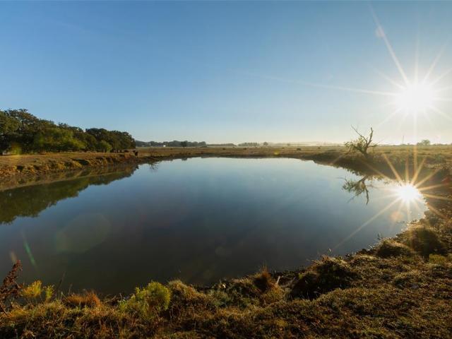 Tbd Brushy Rd, Unit TRACT 1, Granbury, TX 76048 | MLS #21100 | Compass