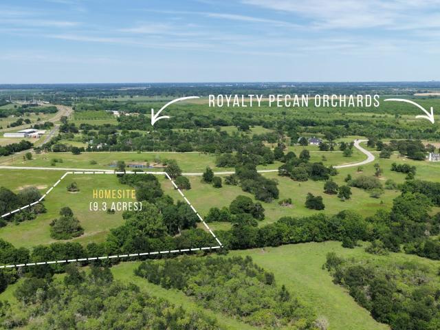 TBD Brazos Court 9 Acres