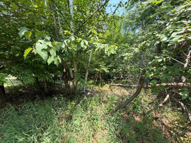 TBD Breezy Point Boulevard