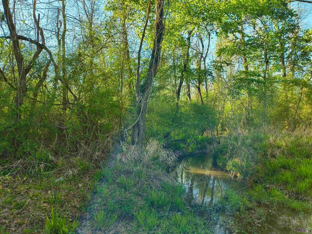 Tbd Brian Rd, Zachary, LA 70791 | MLS #BR2026004 | Compass