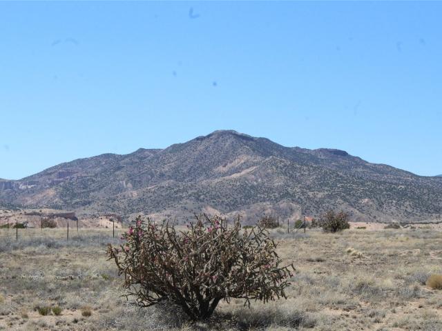 Tbd bridle trail