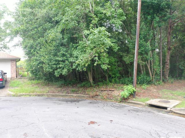 Tbd Brinwood Pl, Livingston, TX 77351 | MLS #36507