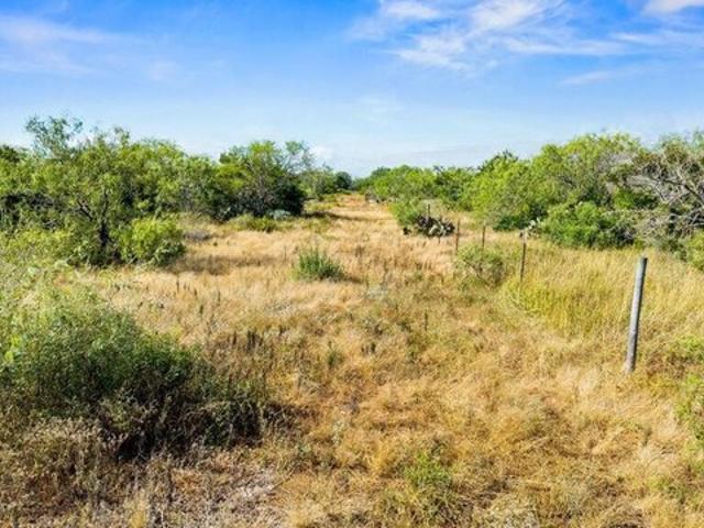 Tbd Broken Ranch Trl Lot 9, Alice, TX 78332