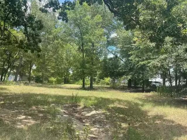 Tbd Brown St, Longview, TX 75601 MLS 24011446