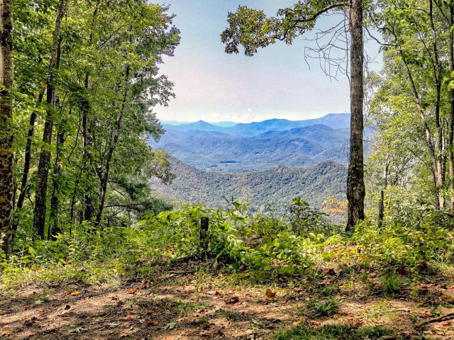 TBD Buck Knob Road