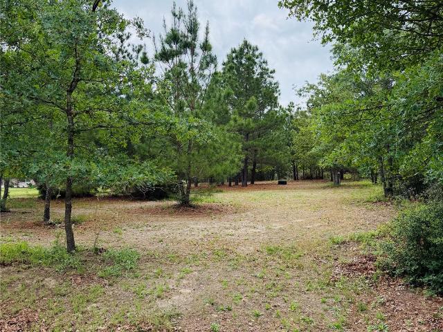 TBD Buckhorn Dr