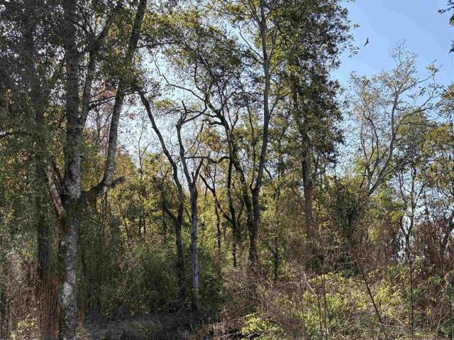 Tbd Bucklin Rd, Jennings, LA 70546 | MLS #SWL25101