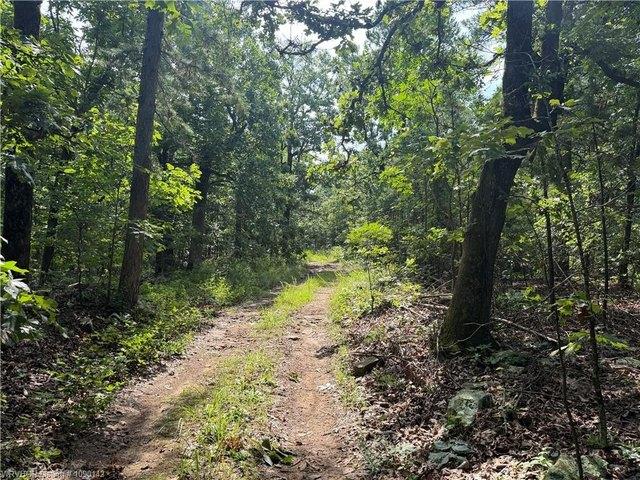 Tbd Buffalo Mountain Rd, Talihina, OK 74942
