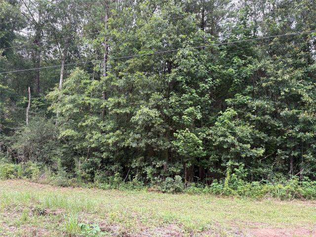 TBD Buffalo Subdivision