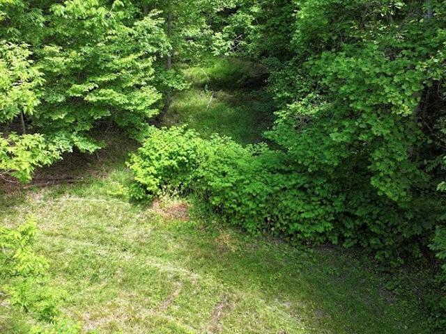 TBD Buffalow Hollow Road