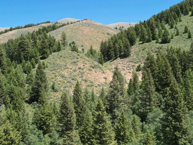 TBD Bull Canyon Road