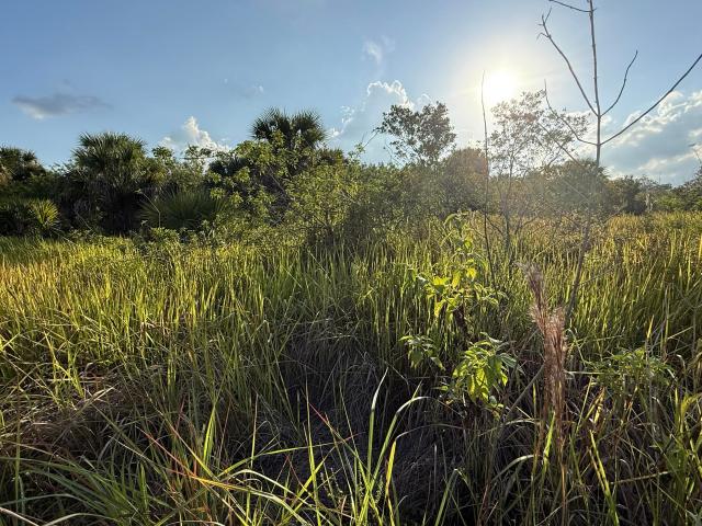 Tbd Burney St SW, Melbourne, FL 32904 | MLS #R11134
