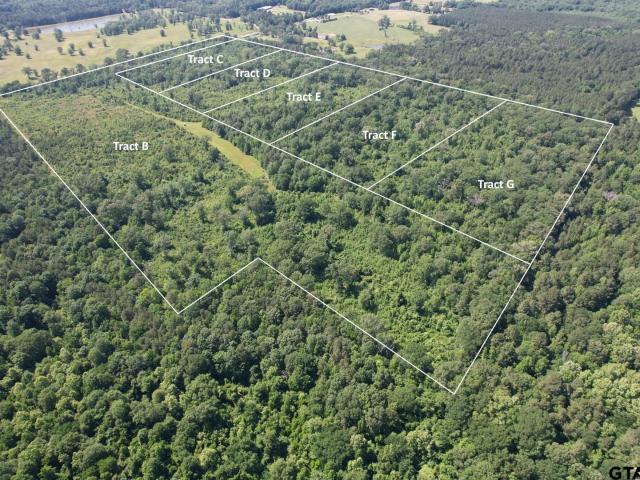 Tbd g County Road 4021, Timpson, TX 75975 | MLS #25007