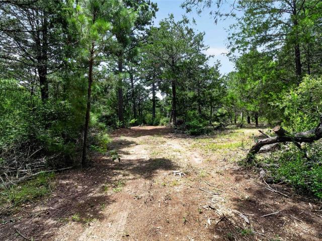 TBD Gotier Trace Rd