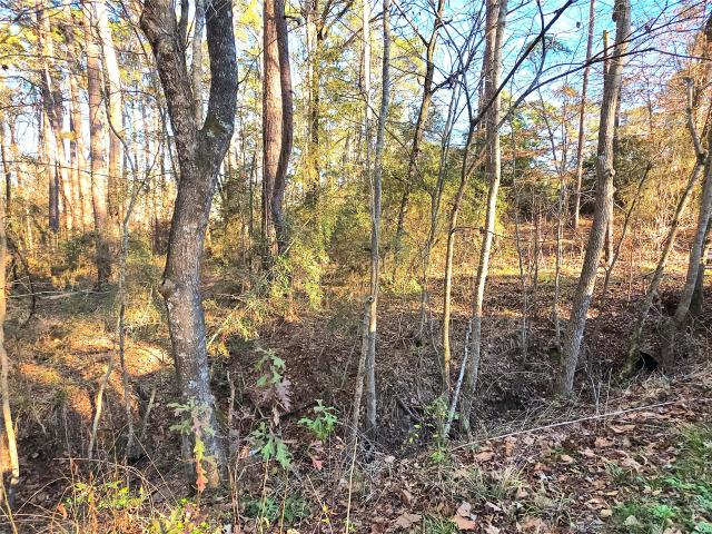 TBD Governor Wood Drive