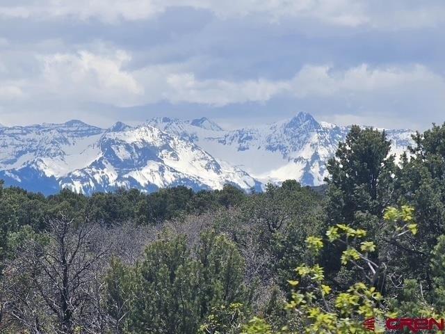 Tbd Government Spgs, Montrose, CO 81403