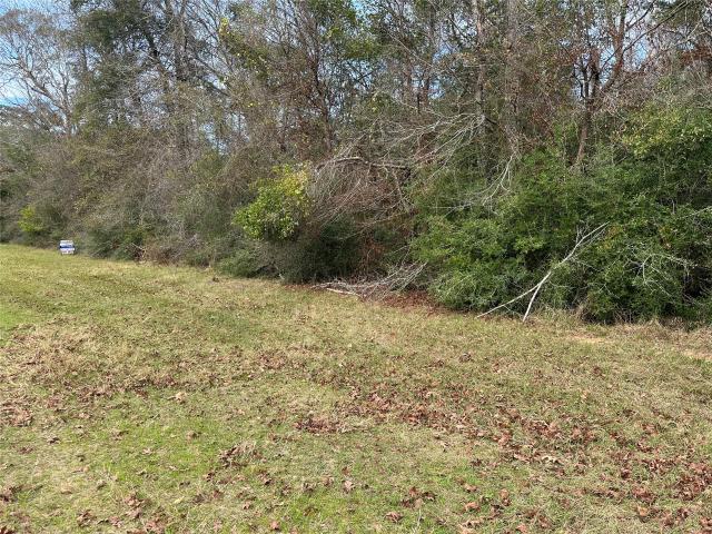 Tbd Good Pasture, Cleveland, TX 77327 | MLS #59891 | Compass