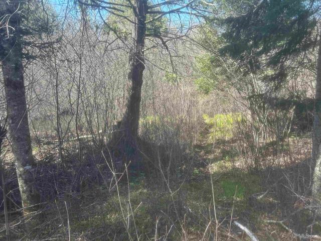 TBD Goodhall Road