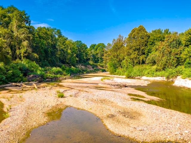 TBD Garner Road