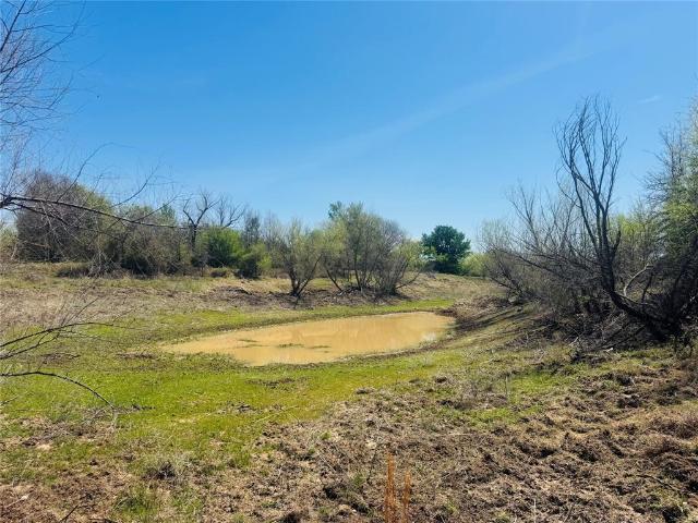 Tbd Georgia Pass, Desdemona, TX 76445 | MLS #21254