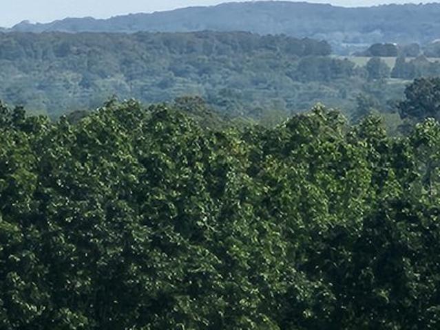 Tbd Girlstown Rd, Mountain Grove, MO 65711