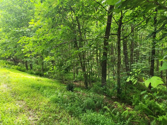 TBD Glen Burn Ln