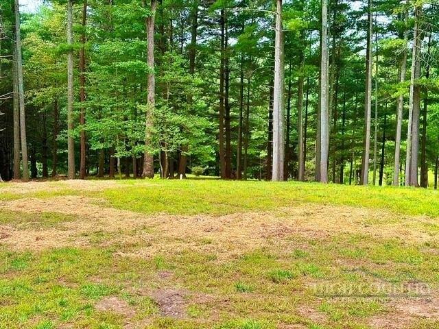Tbd Gleneagle W Lot 48, Roaring Gap, NC 28668