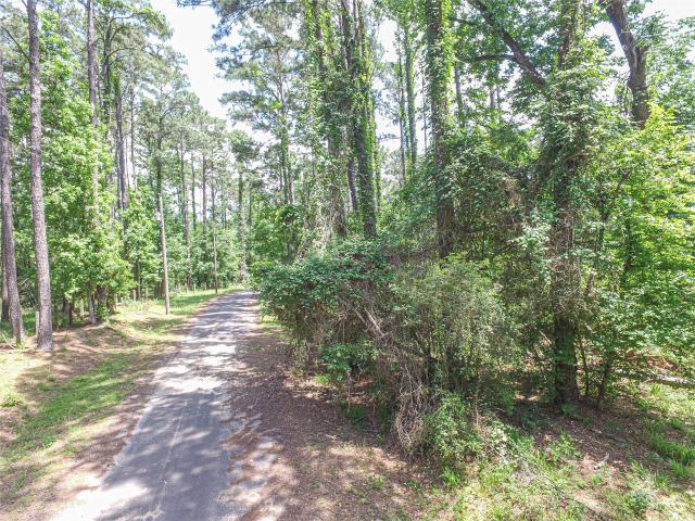 Tbd Grand Pne Loop, Livingston, TX 77351 | MLS #93636