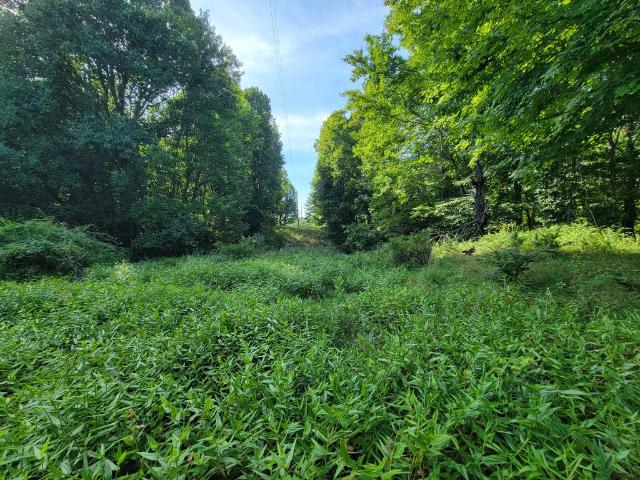 TBD Grassy Creek Rd