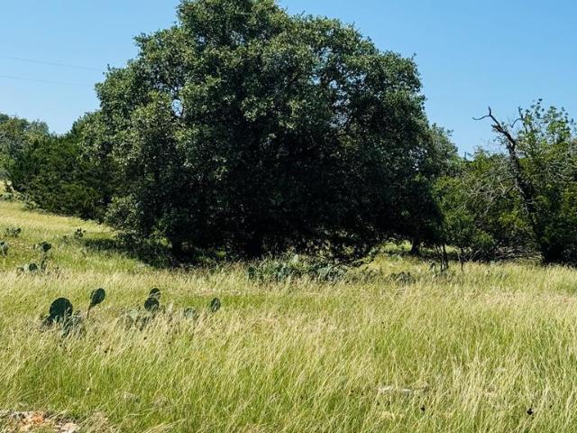Tbd Grape Creek Rd, Fredericksburg, TX 78624 | MLS #103885