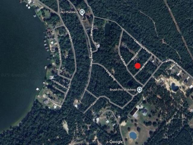 Tbd Gray Fox, Livingston, TX 77351 | MLS #67543 | Compass
