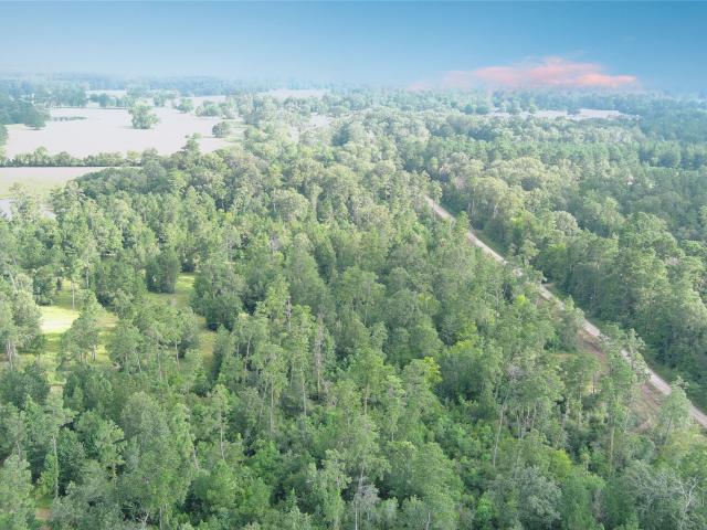 Tbd Gregory Ln, New Waverly, TX 77358 | MLS #29408