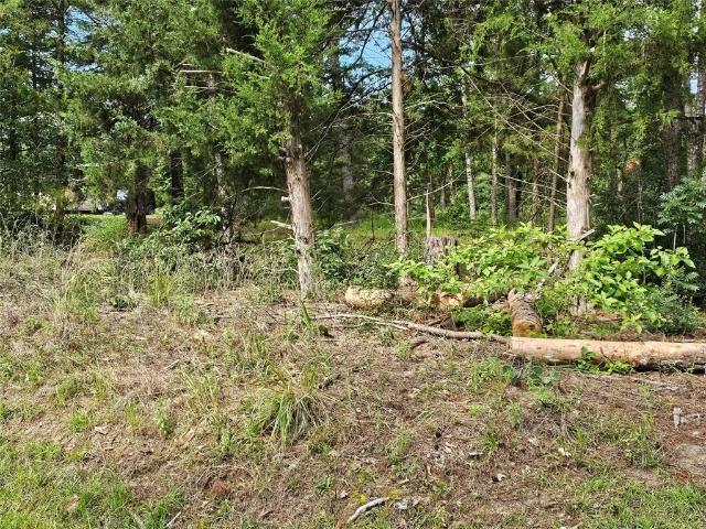 TBD Green Meadow Trail