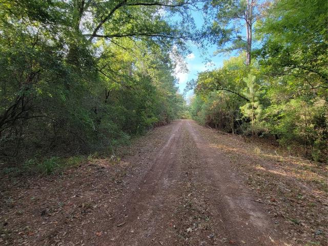 TBD Grey Wolf Dr