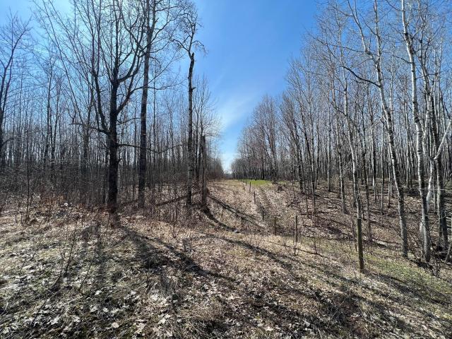 TBD Gulley Road