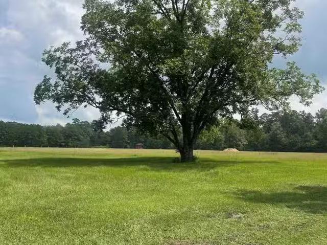 Tbd Gurley Rd, Loris, SC 29569 MLS 2418568