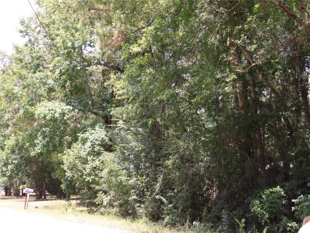 Tbd Dove Creek Drive
