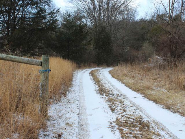 Tbd dogwood dr
