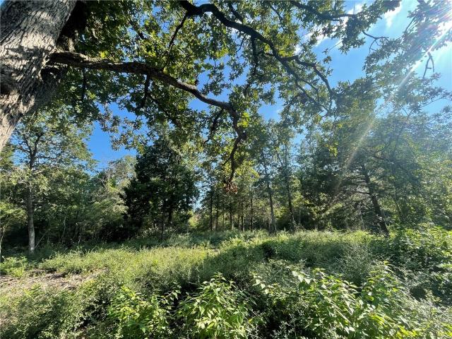 TBD Dogwood Lane
