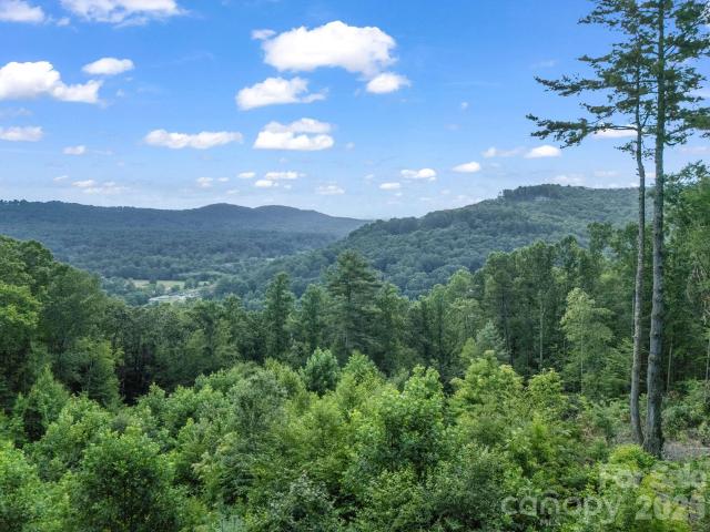 Tbd Davenport Hills Rd, Hendersonville, NC 28791 | MLS #4349