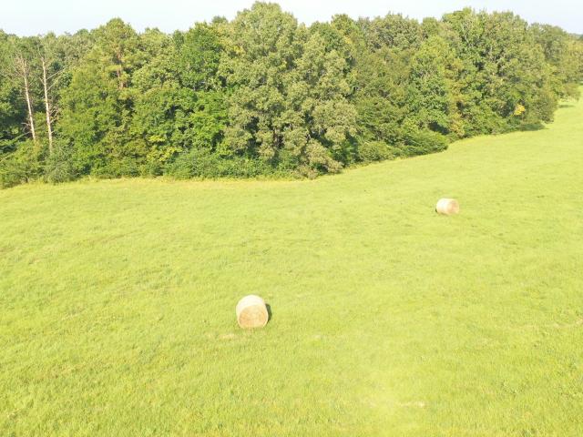Tbd David Hon Rd, Livingston, TX 77351 | MLS #70690
