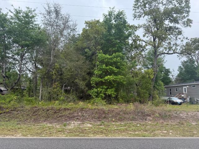 Tbd Dawn Ave, Interlachen, FL 32148 | MLS #R11118